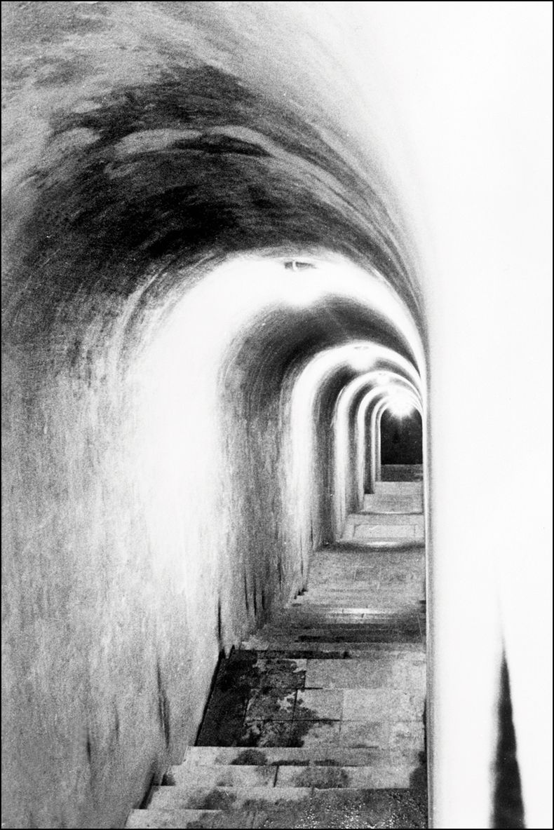 El final de Adolf Hitler: a 75 años de la muerte del asesino de 70 millones