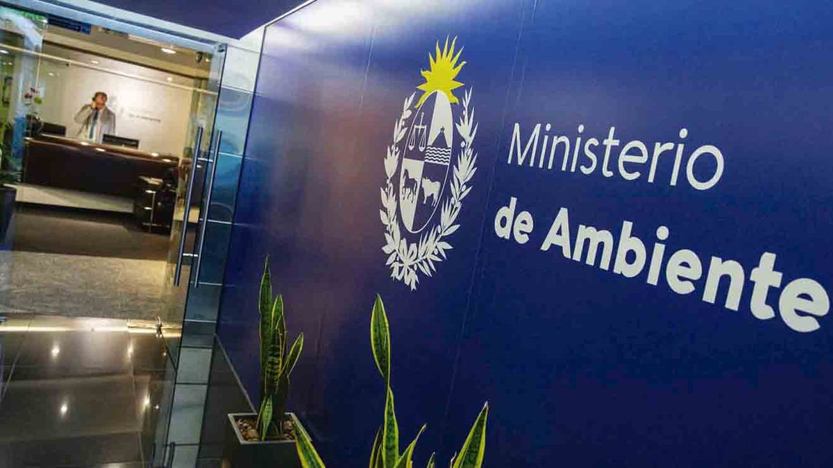 Delpiazzo advierte riesgos de inconstitucionalidad en el nuevo Imesi ...