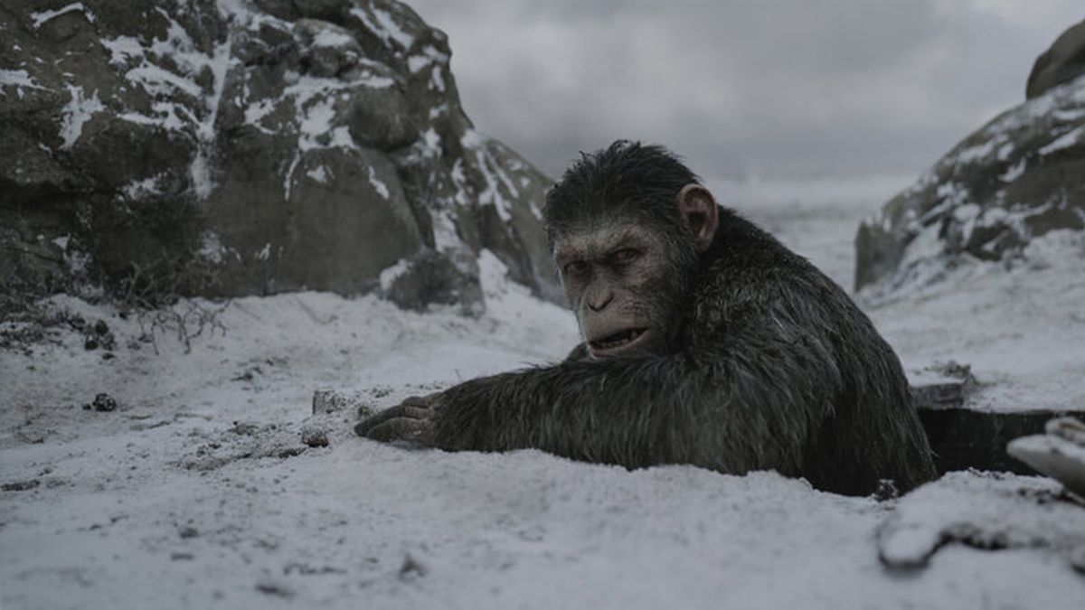 Monos con metralleta