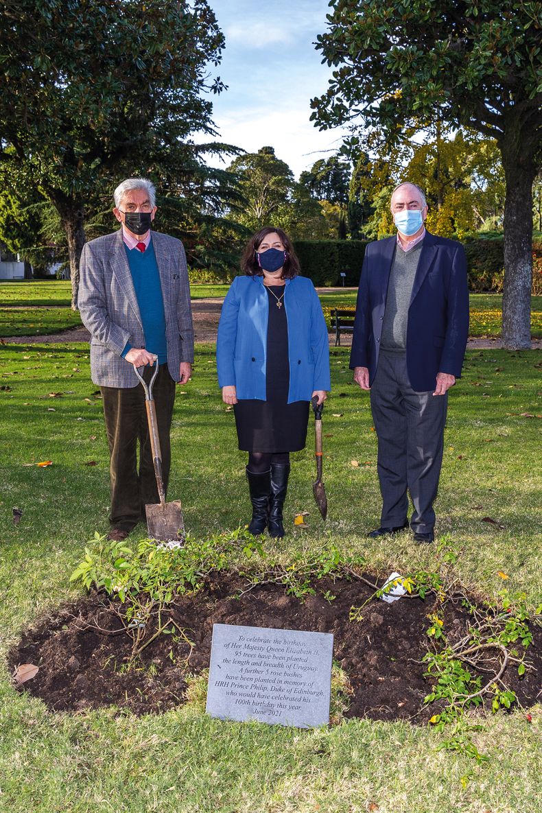 Árboles con acento inglés para celebrar los 95 años de la reina Isabel II