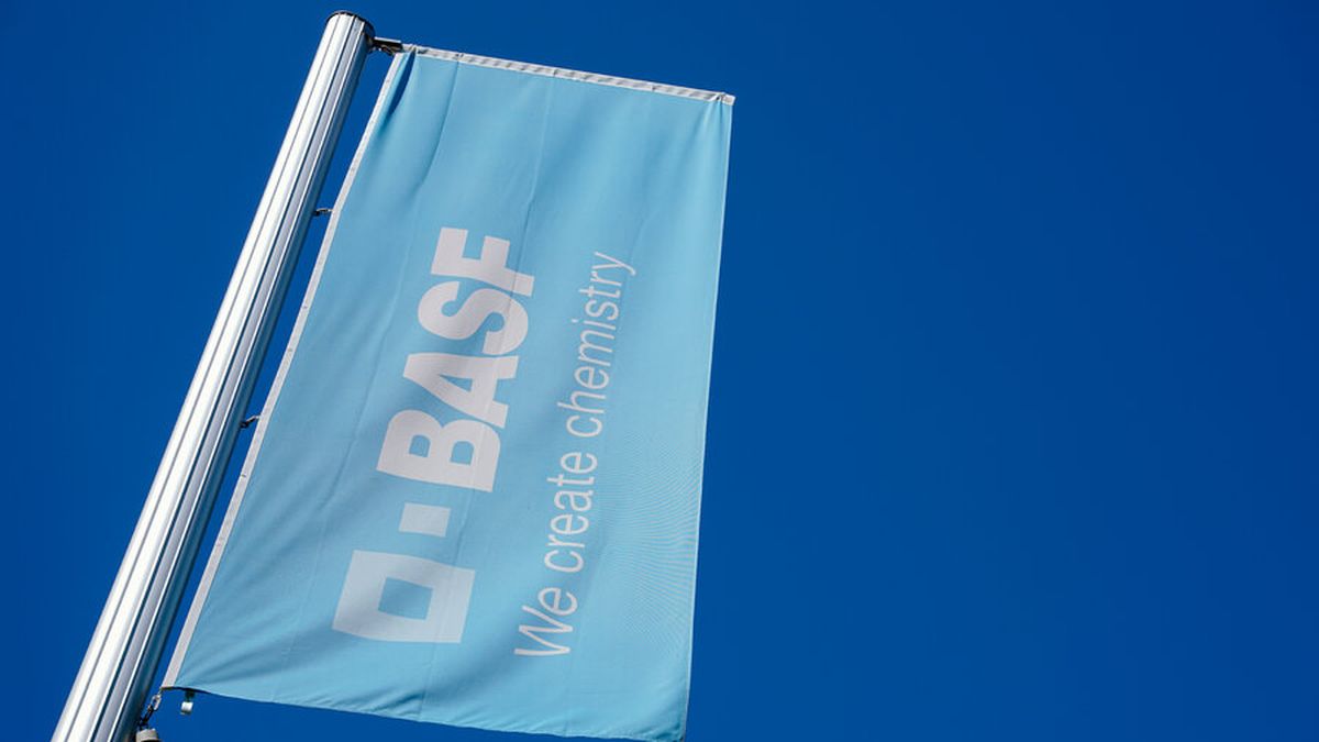BASF amplía su hub en Uruguay
