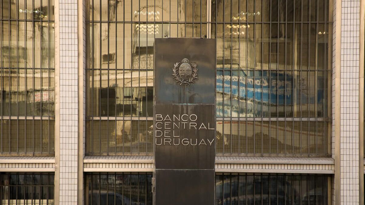 NÚMEROS de la SEMANA