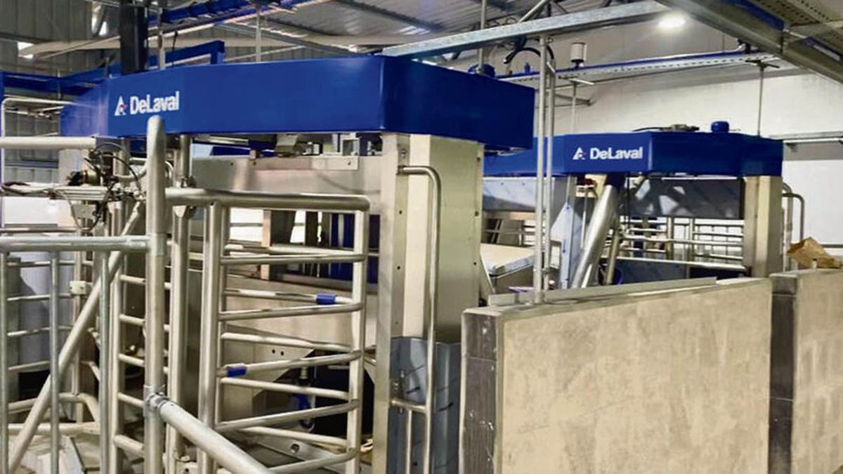 Instalan cuatro robots de ordeñe en un tambo comercial en Río Negro