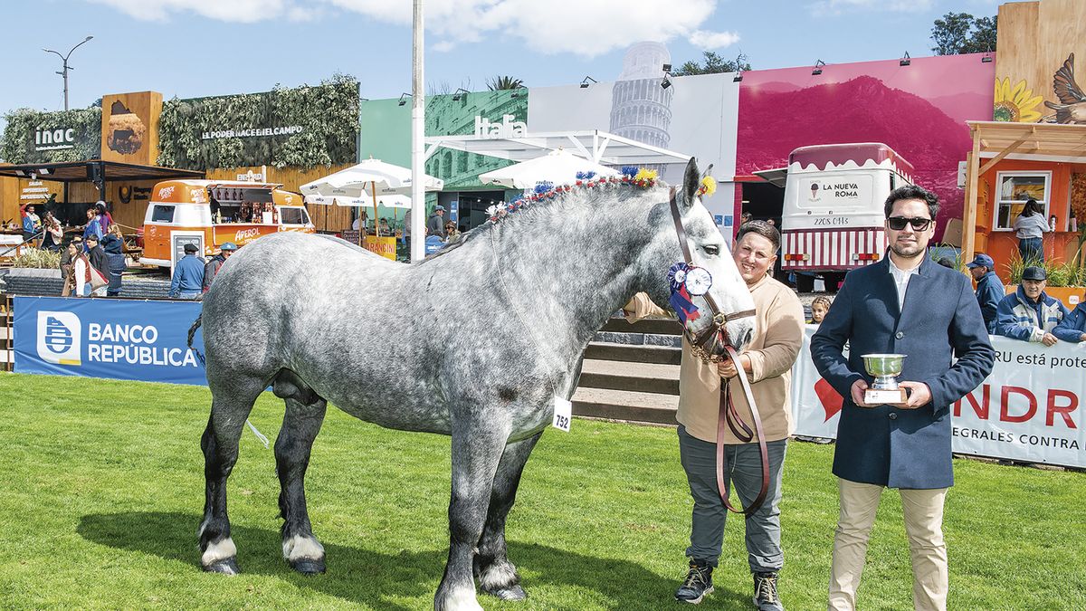 El percherón volvió a ser protagonista en la Expo Prado